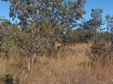 Land for Sale in Umwinsidale, Harare North | 11 listings