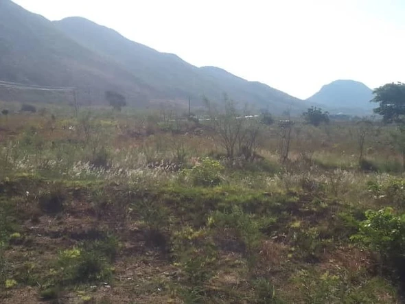 Stands & Residential Land for Sale in Mutare CBD | GAT206012