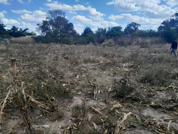 Stands & Residential Land for Sale in Waterfalls, Harare South | 20 ...