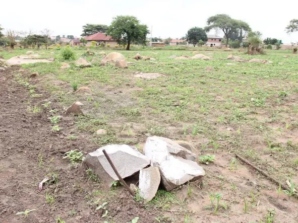 Stands & Residential Land for Sale in Rydale Ridge Park, Harare West ...