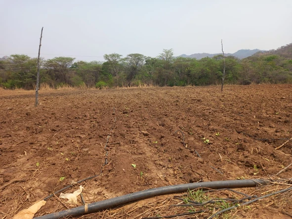 Property for Sale in Bindura | 29 listings | Property.co.zw