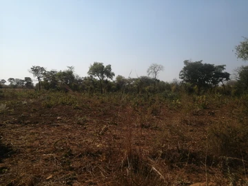 Farms & Agricultural Land for Sale in Kadoma | 16 listings