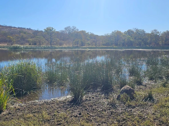 Farms & Agricultural Land for Sale in Plumtree | FAC227799