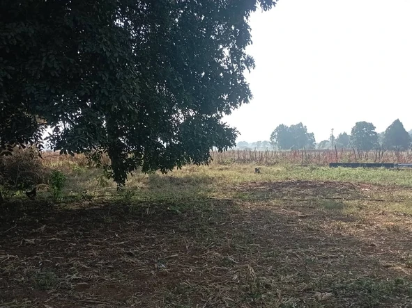 Stands & Residential Land for Sale in Tynwald, Harare West | 16 listings